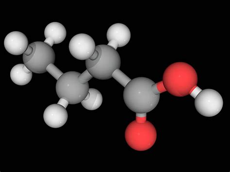 Butyric Acid Molecule Photograph By Laguna Design Science Photo Library