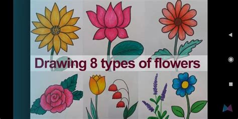 Drawing 8 Types Of Flowers Easy Steps Flower Drawing Flower