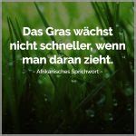 Das gras waechst nicht schneller wenn man daran zieht Bilder und Sprüche