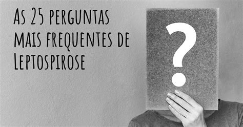 As Perguntas Mais Frequentes Sobre Leptospirose Mapa De