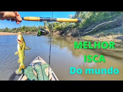 MELHOR ISCA DO MUNDO Para Bagre Mandi Jundia Pintado Pescaria Isca