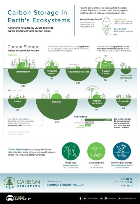 The Carbon Storage In Earth S Ecsytems Info Sheet Is Shown Here