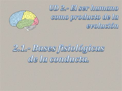 Bases fisiológicas de la conducta
