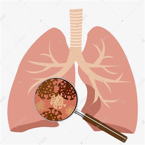矢量感染肺部发现病毒素材图片免费下载 千库网