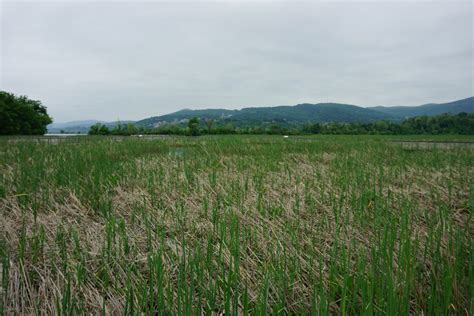 Harriman Hiker Harriman State Park And Beyond Constitution Marsh