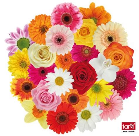 Fleurs Sticker Adh Sif Mural Autocollant Bouquet De Fleurs X Cm