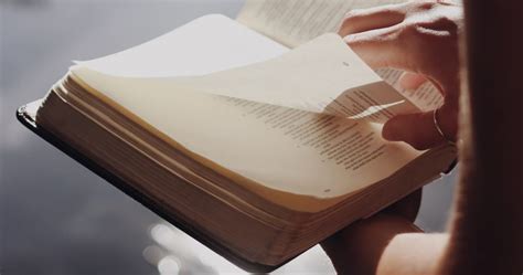 Deus ouviu sua oração e nesse instante vai agir em seu favor