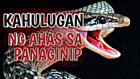 Kahulugan Ng Ahas Sa Panaginip Halimbawa
