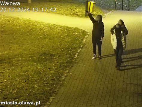 Strzelał z wiatrówki do latarnii Został zatrzymany przez Straż Miejską