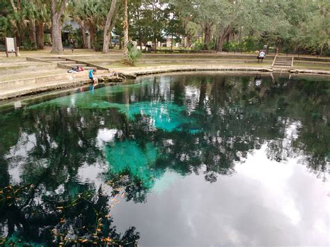 Juniper Springs Wallpapers Wallpaper Cave