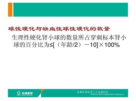 肾活检病理检查及肾脏病理基础知识 word文档在线阅读与下载 无忧文档
