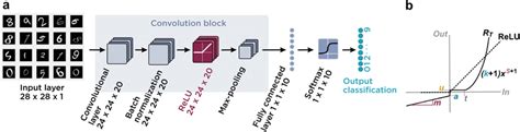 Convolutional Neural Network CNN Architecture And ReLU Parameter