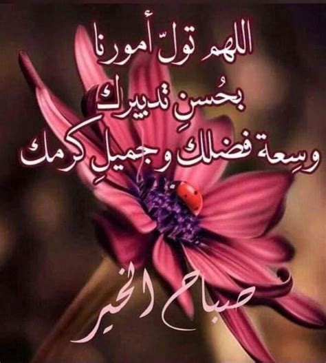 Pin By Ahmedum On Beautiful Morning Messages Morning Greeting