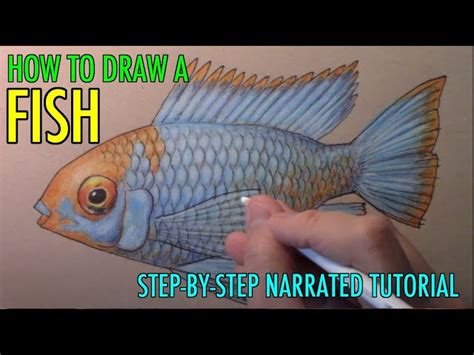 How To Draw An Easy Fish Really Easy Drawing Tutorial Fish Fishes