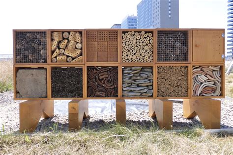 C Mo Hacer Un Hotel De Insectos Casero Biologueando