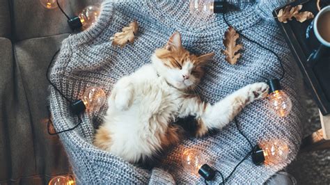 Cozy Winter Wallpaper Images