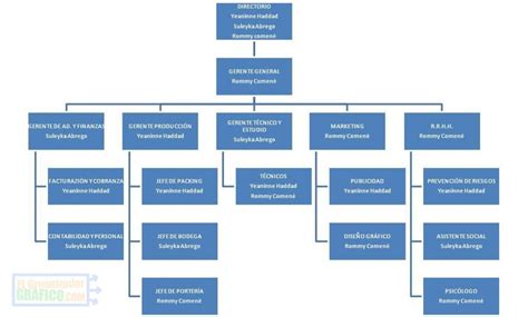 Tipos De Organigramas Clasificaci N Y Ejemplos