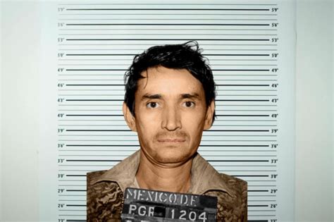 Felix Gallardo Archives Author Stream