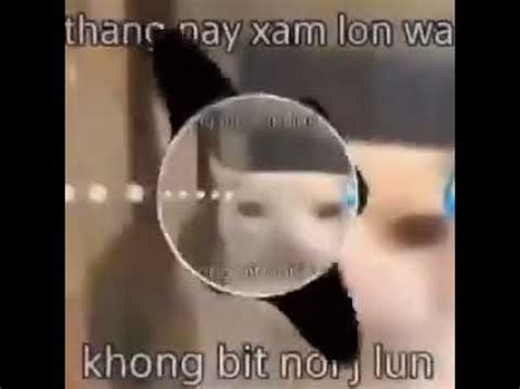 Thang Nay Xam Lol Qua Ko Bit Noi J Lun YouTube