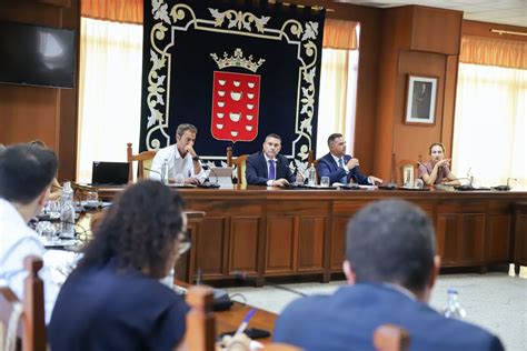 El Cabildo continuará colaborando con Red Eléctrica para el