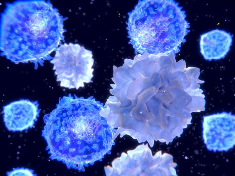 Translationally Relevant In Vitro Immunology Assays Charles River