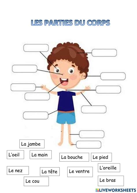 Pin On PARTES DEL CUERPO EN FRANCES