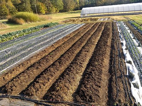 The Evolution Of No Till Farming Practices On Spring Forth Farm