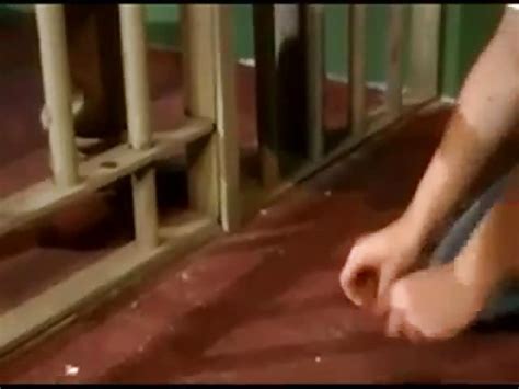 Cara Sensual Curtindo Sexo Oral Na Cadeia Mundobicha