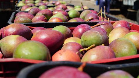 Confira a cotação dos hortifrutigranjeiros comercializados no Mercado