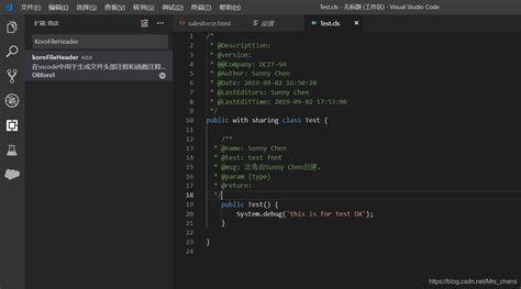 vscode系列：vscode自动生成文件头部注释和函数注释！ vscode自动创建文件描述 csdn博客
