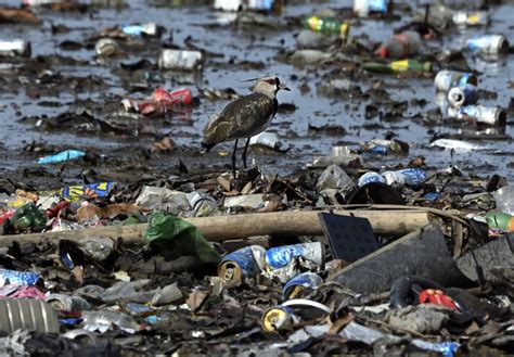 Poluição de mares e rios brasileiros soma 2 milhões de toneladas de
