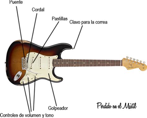 Partes de una guitarra eléctrica Perdido en el Mástil Aprende a