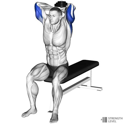 Tricep Extensions