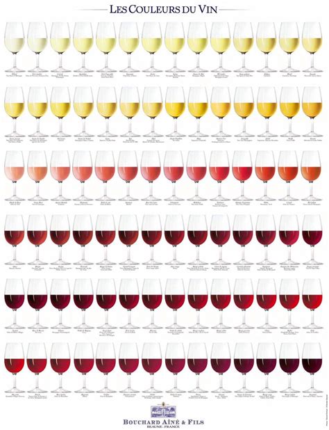 In Profondit Implicare Vitamina Tipi Di Vini Rossi Maturo Applicazione