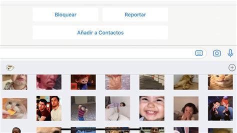 Cómo crear stickers para WhatsApp con tus propias fotos en iOS FOLOU