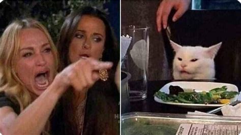 De dónde nace el meme del gato comiendo y la mujer reclamando