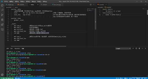 nasm入门 hello world int int80实现hello world csdn博客