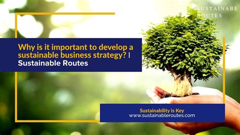 Why Is It Important To Develop A Sustainable Business Strategy