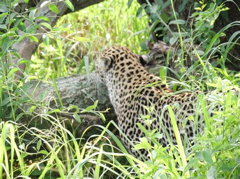 Murchison Falls National Park Murchison Falls National Park