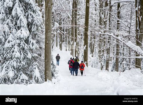 Groupe de marche âgé Banque de photographies et dimages à haute