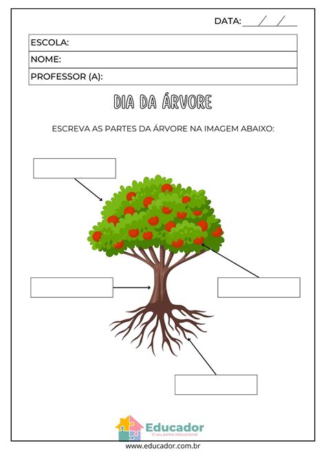 Atividades para o Dia da Árvore Educador