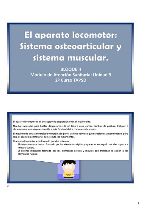Tema 3 El sistema osteoarticular y muscular BLOQUE II Módulo de