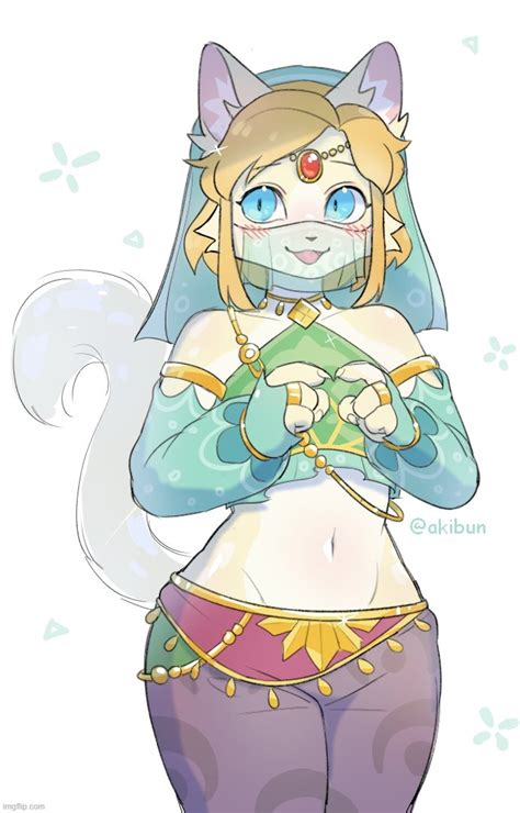 Image Tagged In Link The Legend Of Zelda Imgflip