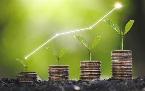 Financial Evolution Phinevo Money Coaching