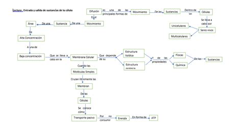 Biolog A Luis Javier Alvarez Santoyo Mapa Conceptual
