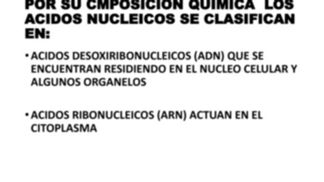 SOLUTION Bases Quimicas De La Herencia Studypool