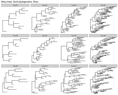 Visualizing And Annotating Phylogenetic Trees With R Ggtree