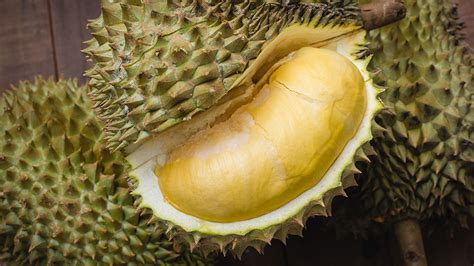 Ciri Ciri Durian Musang King Kenali Jenis Durian Ciri Cirinya