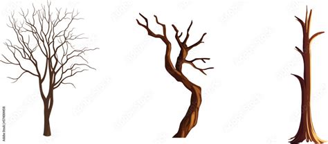 Tree With Naked Branches Dry Wood Without Leaves Tree Without Leaves