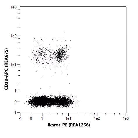 Ikaros Antibody Anti Human Reafinity Miltenyi Biotec Usa